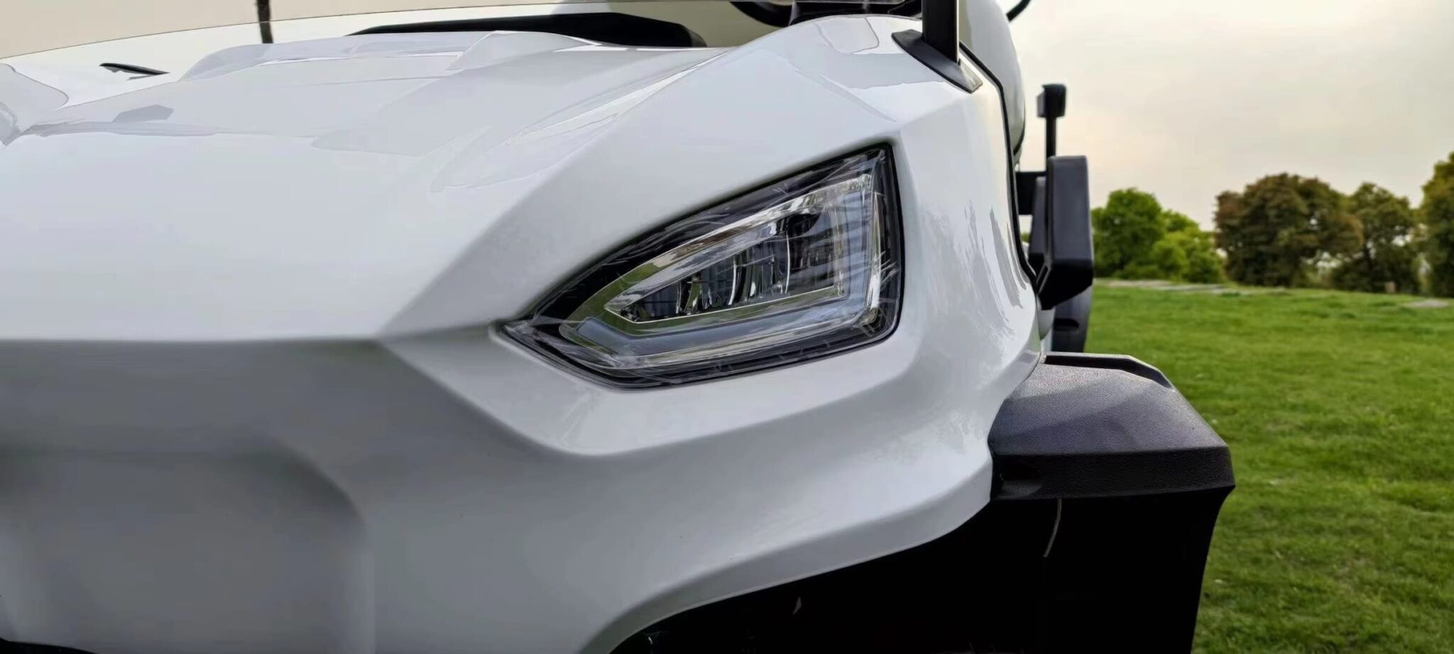 Electric 2-Seater Motorised Golf Buggy for Sightseeing Vacations 5KW ...