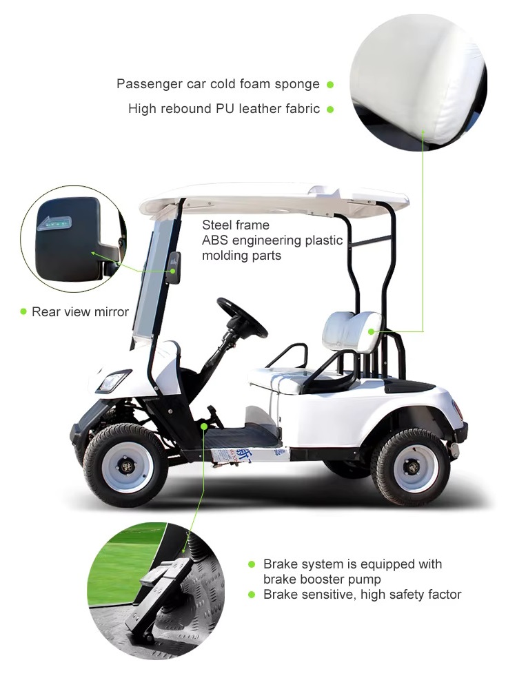 Electric Mini Golf Carts 2 Passenger Golf Cart for Adults Build in 60V ...