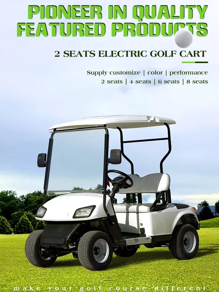 Electric Mini Golf Carts 2 Passenger Golf Cart for Adults Build in 60V ...