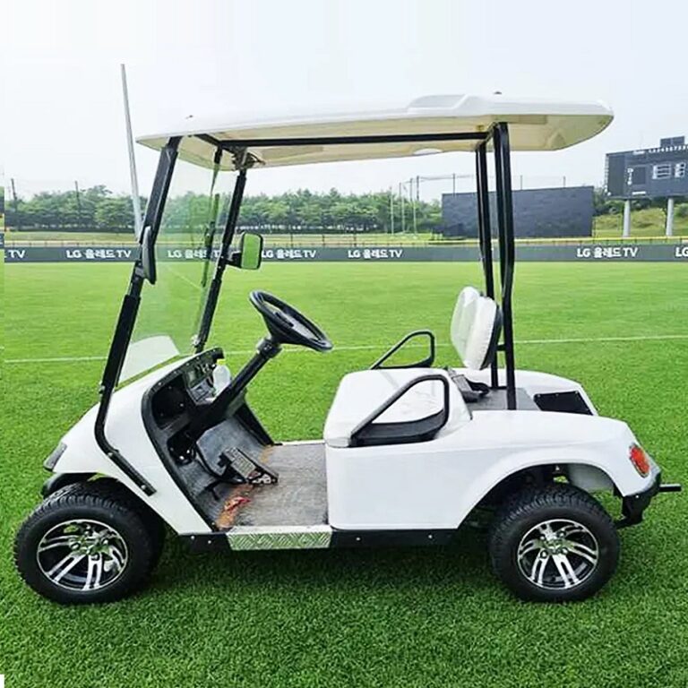 Electric Mini Golf Carts 2 Passenger Golf Cart for Adults Build in 60V ...