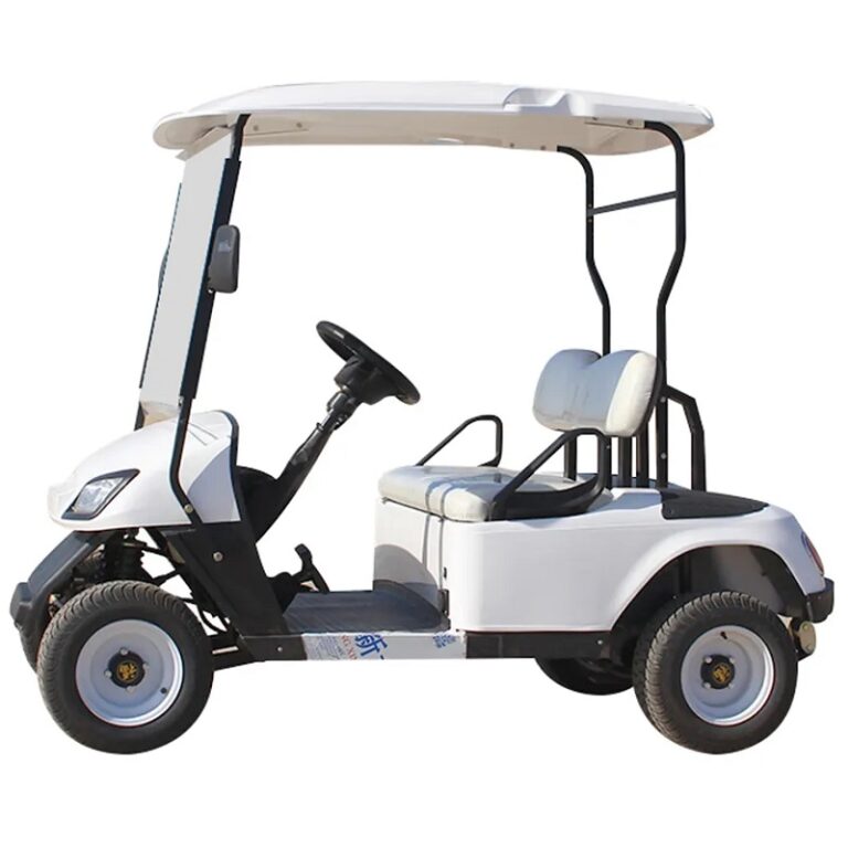 Electric Mini Golf Carts 2 Passenger Golf Cart for Adults Build in 60V ...
