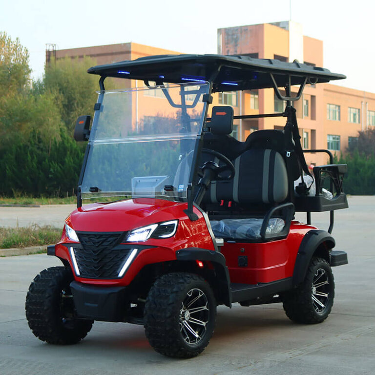 Electric Mini Golf Carts 2 Passenger Golf Cart for Adults Build in 60V ...