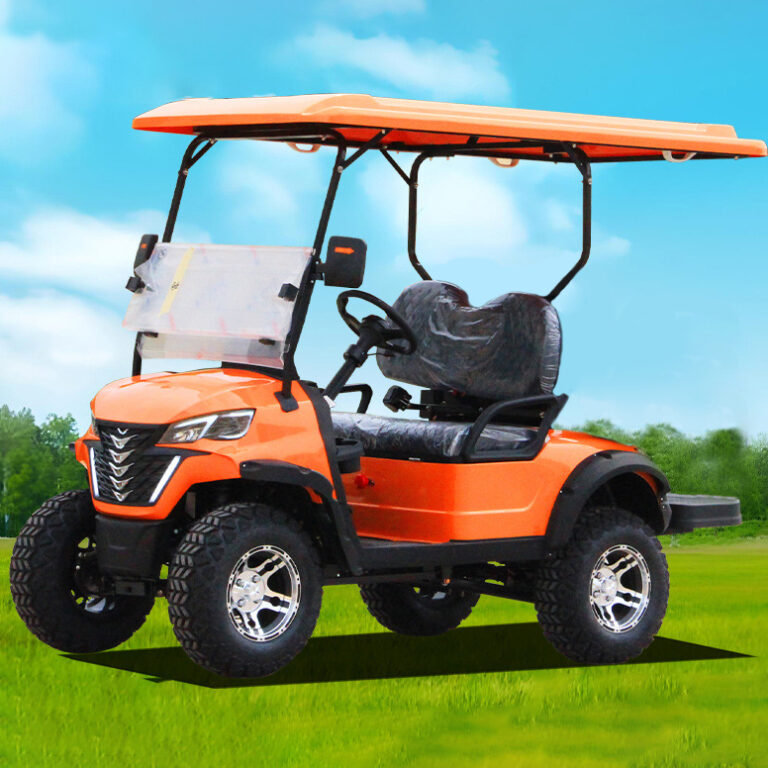 Electric Custom Golf Cart 48V 2-Seat Passenger Small Cruiser