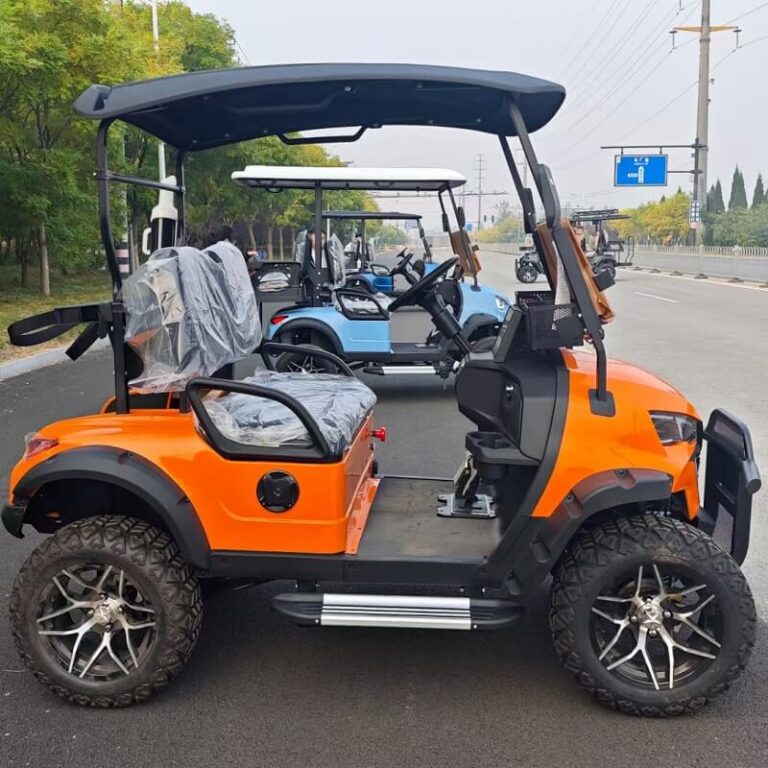 Electric Custom Golf Cart 48V 2-Seat Passenger Small Cruiser