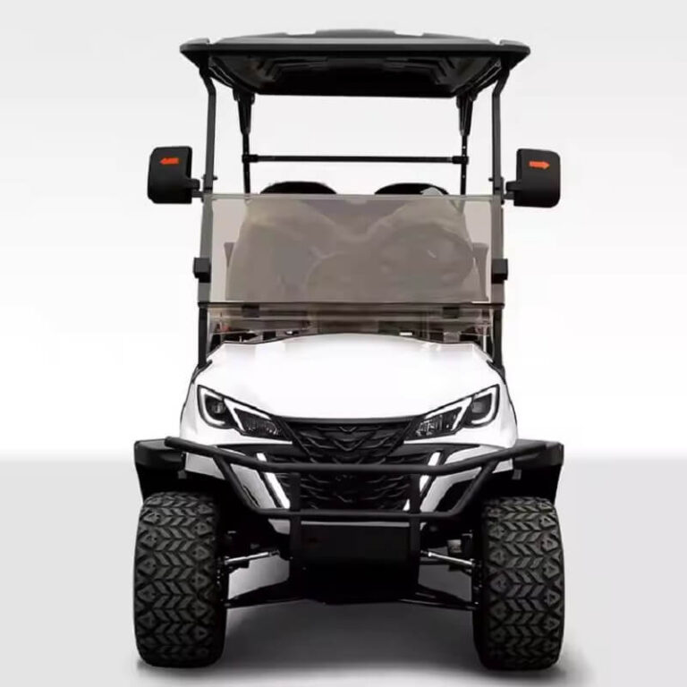 Electric Custom Golf Cart 48V 2-Seat Passenger Small Cruiser