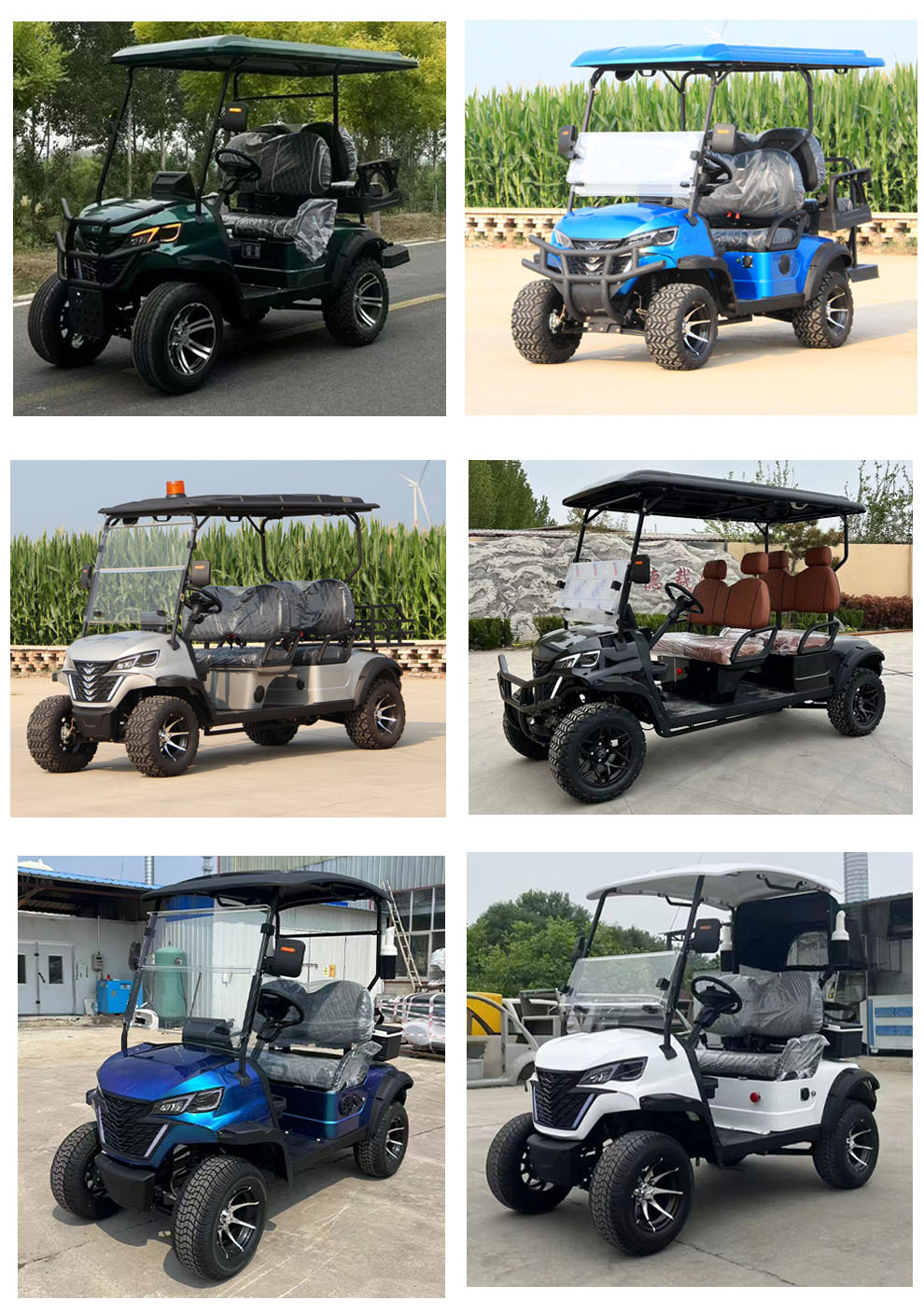 Electric Custom Golf Cart 48V 2-Seat Passenger Small Cruiser