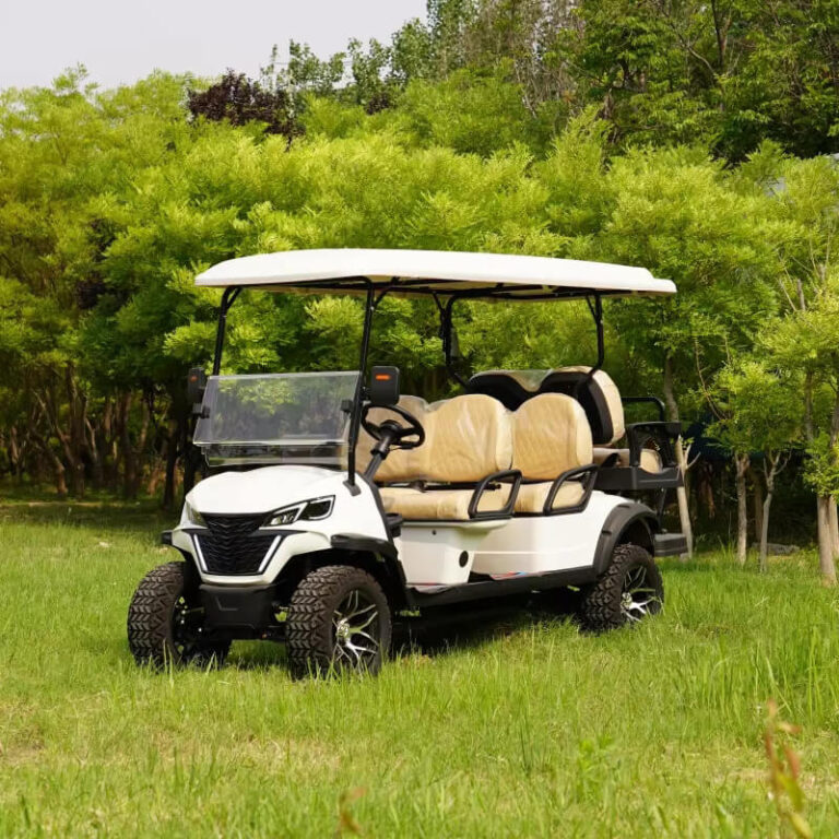 2/4/6 Passengers Custom Off Road Electric Golf Carts For Sale